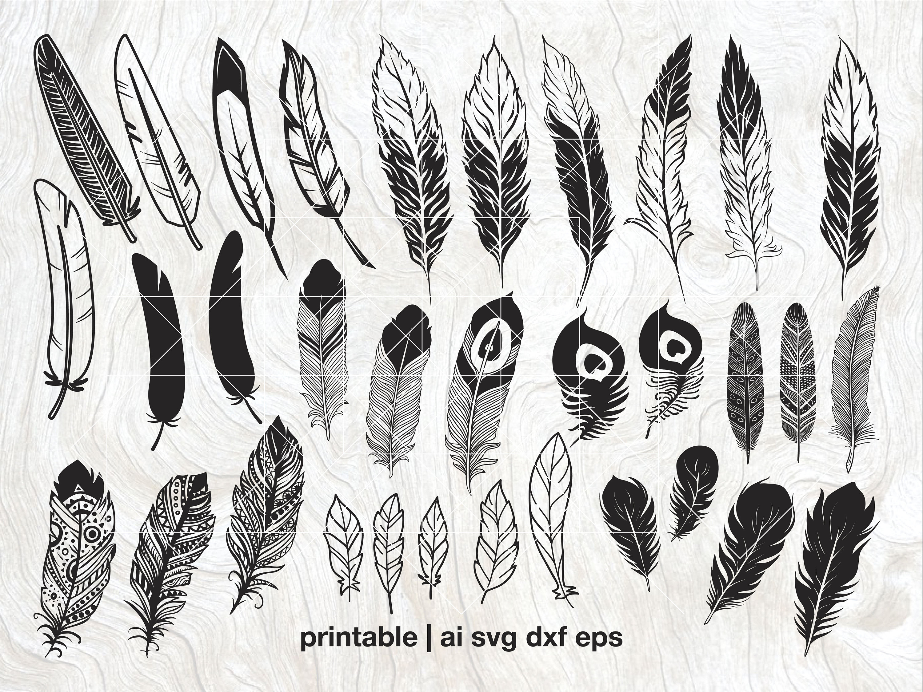 Feather Svg Bundle, Feather Vector Pack, Birds Feather Clipart, Feather ...