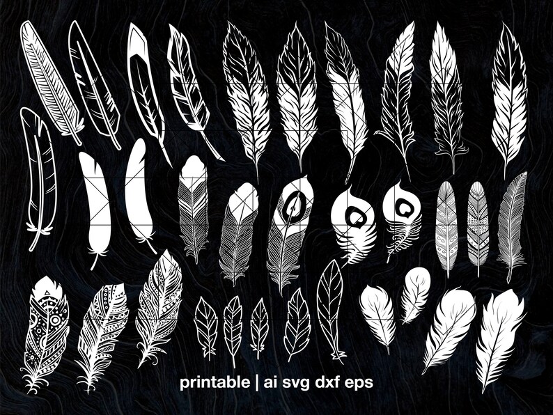 Feather Svg Bundle, Feather Vector Pack, Birds Feather Clipart, Feather ...