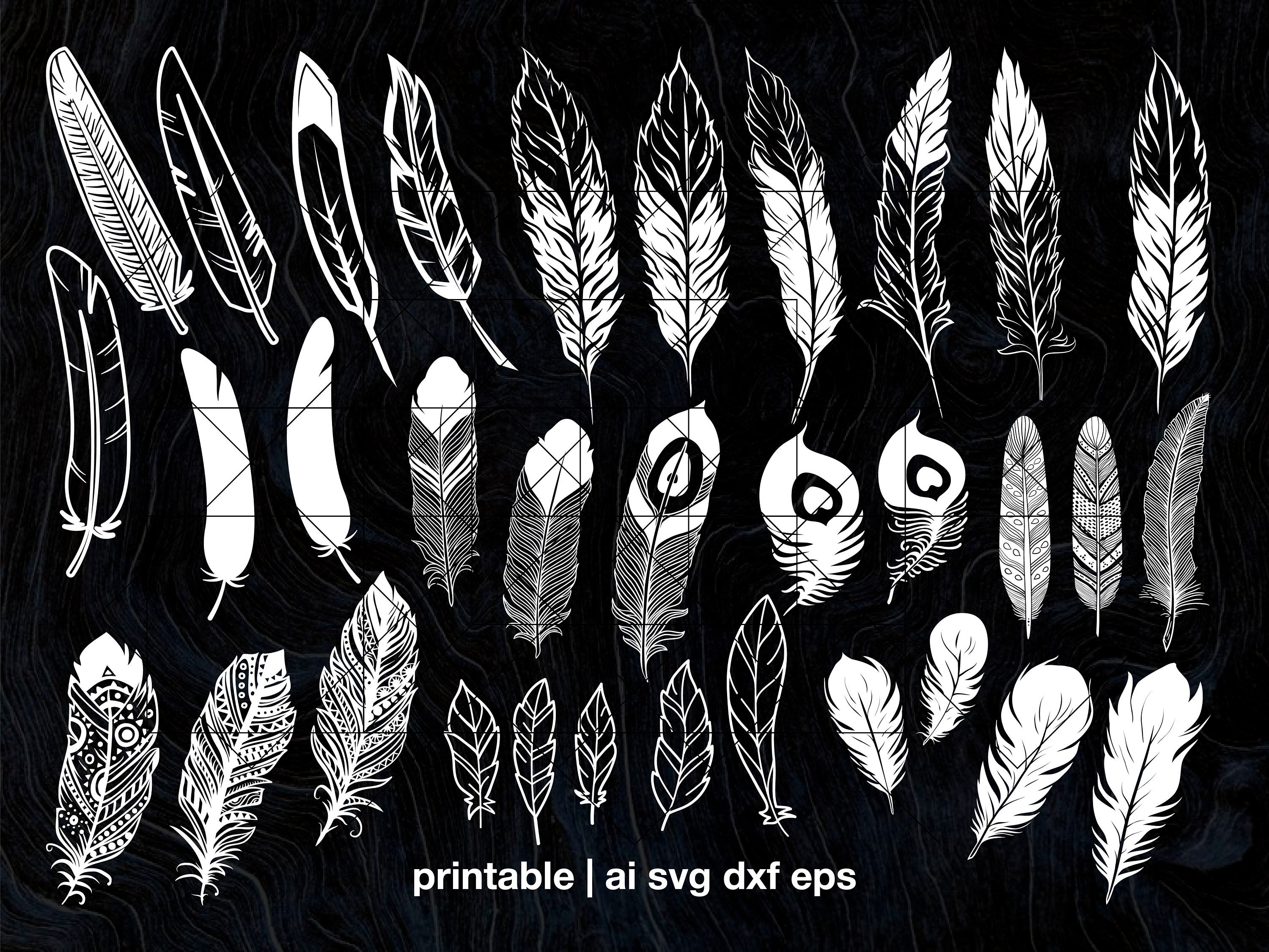 Feather Svg Bundle, Feather Vector Pack, Birds Feather Clipart, Feather ...