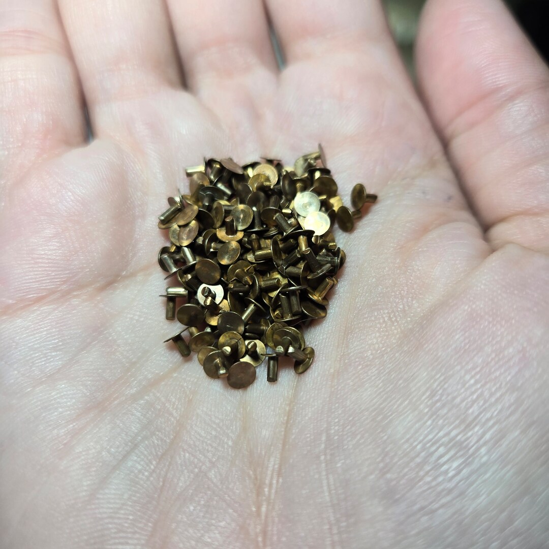 Natural Brass RV0001 1/8 Inch Nail Head Rivets *30 Pieces* - Etsy