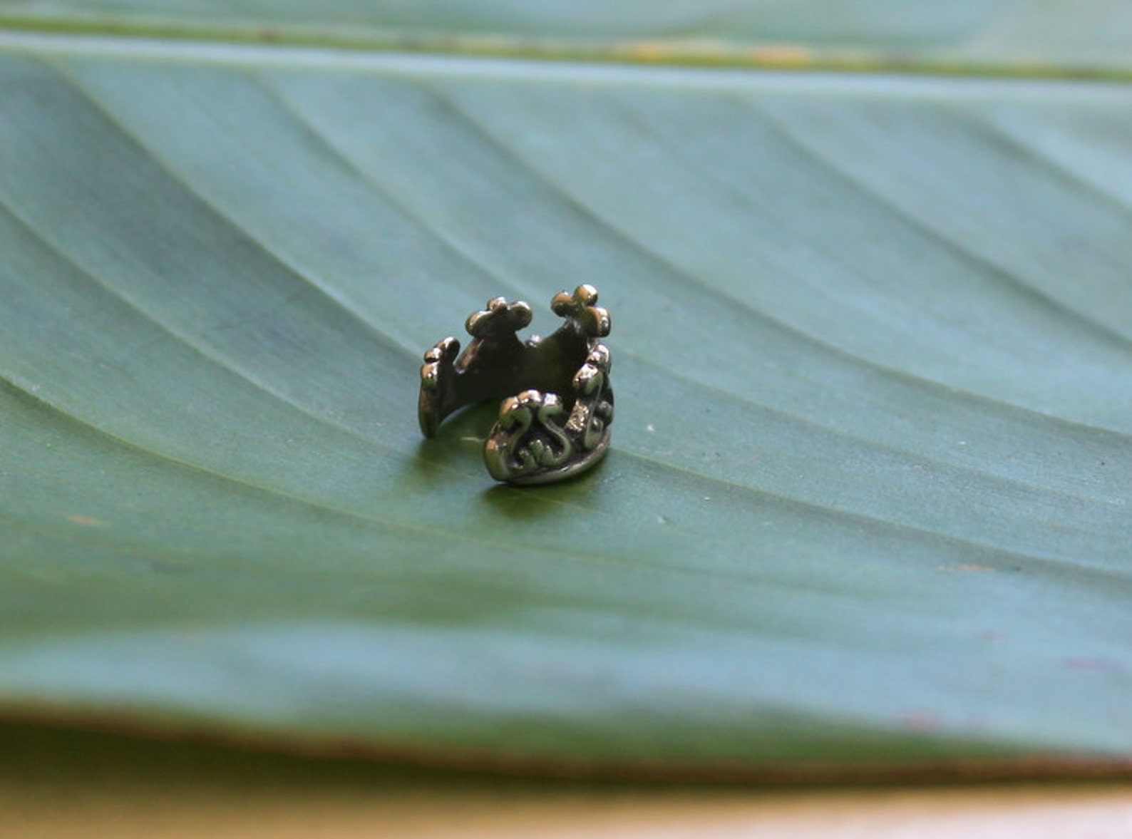 Crown Ear Cuff Stainless Steel 316L Hypoallergenic - Etsy