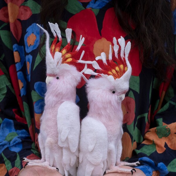 Needle Felted Parrot - Etsy