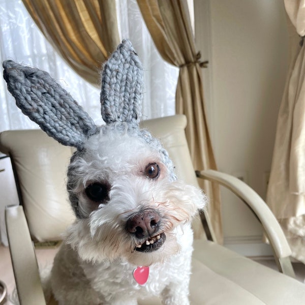 Bunny Ears for Dogs - Etsy