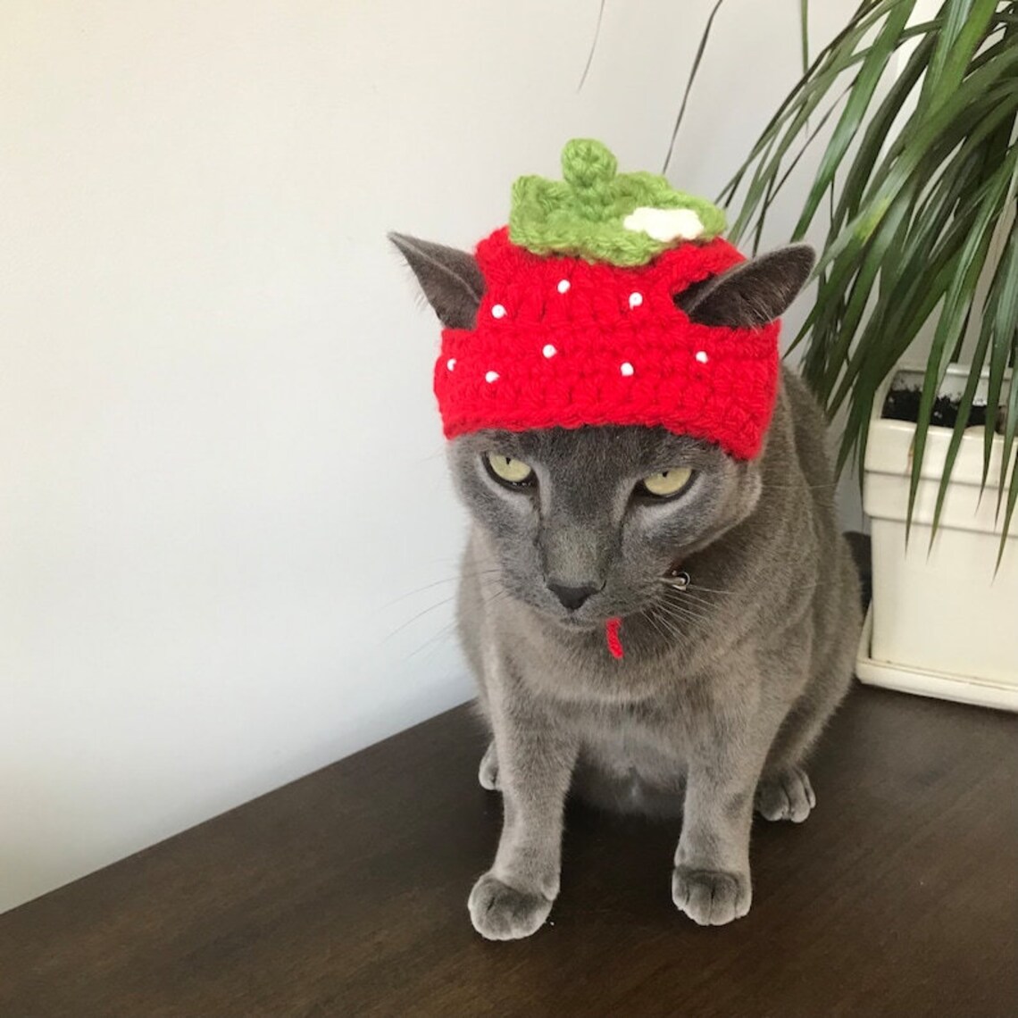 Crochet Pattern 064 Cat Strawberry Hat Small Dog Strawberry | Etsy