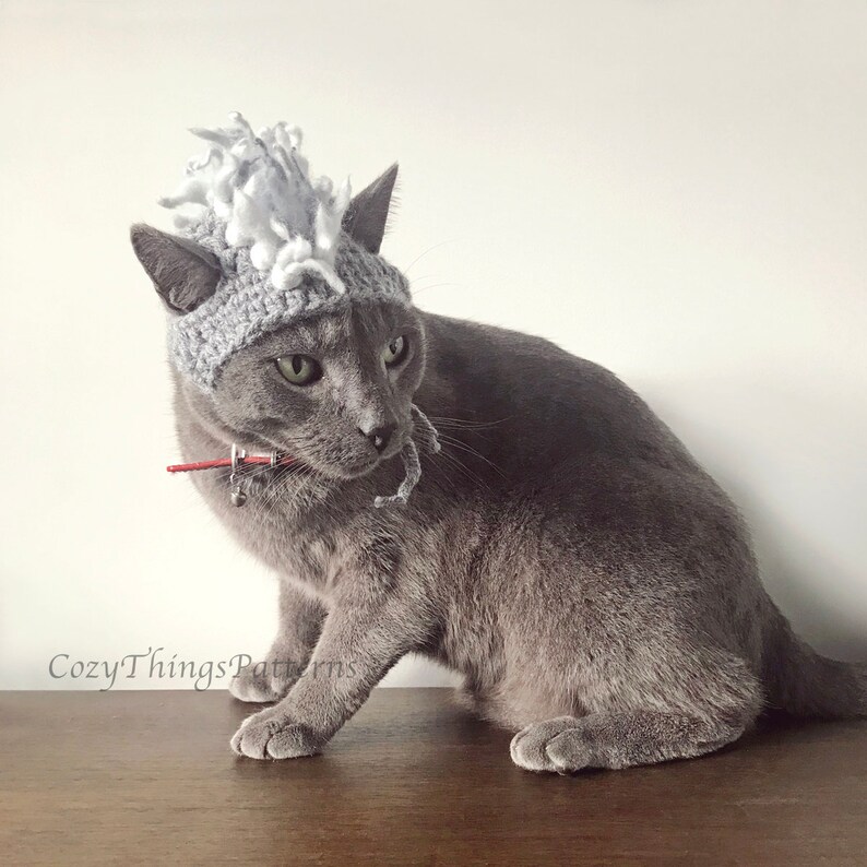 Crochet Pattern 053 Cat Mohawk Hat Small Dog Mohawk Hat - Etsy
