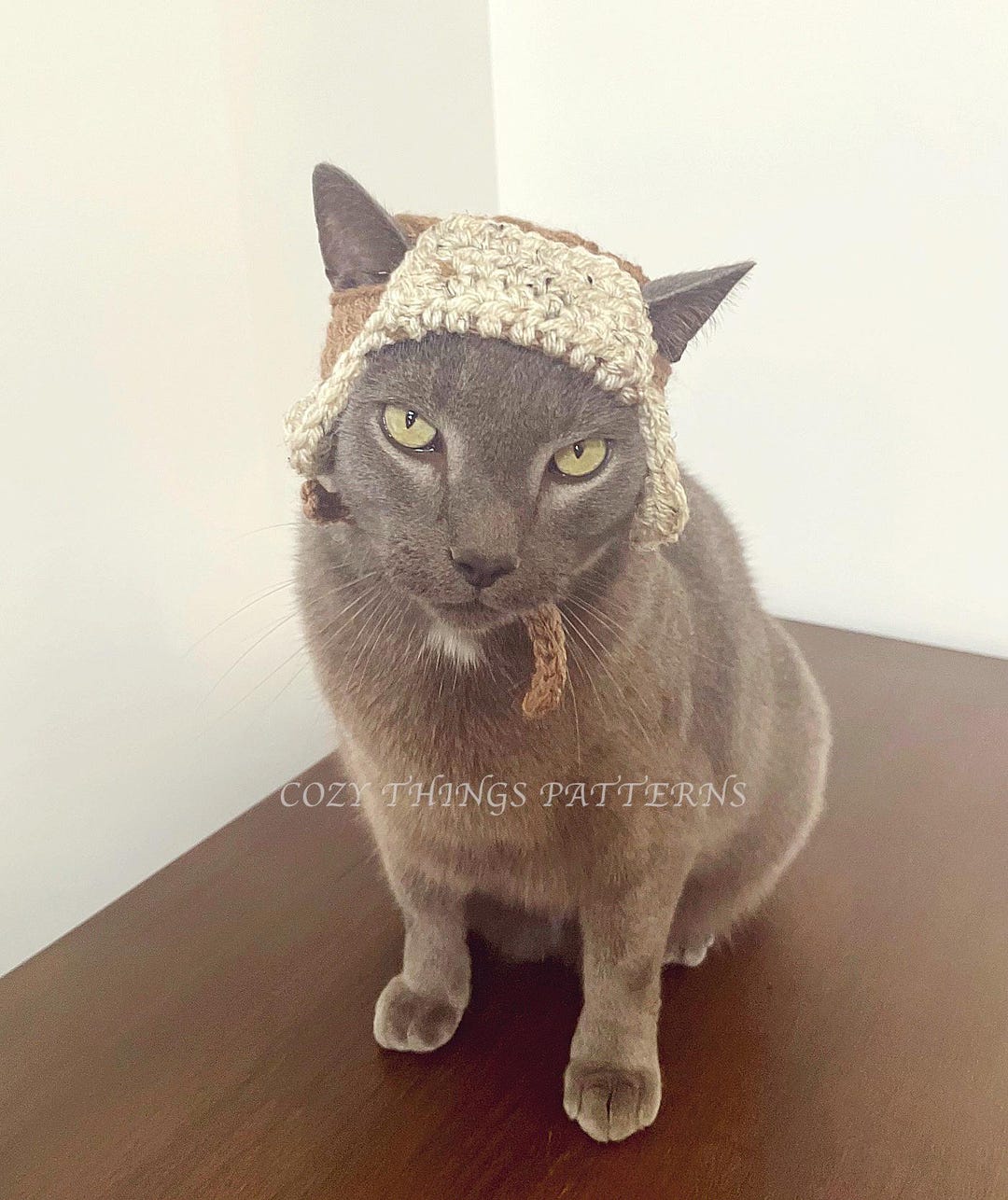 Cat Aviator Hat, Cat Pilot Hat, Hat for Cat, Small Dog Top Hat, Pet ...