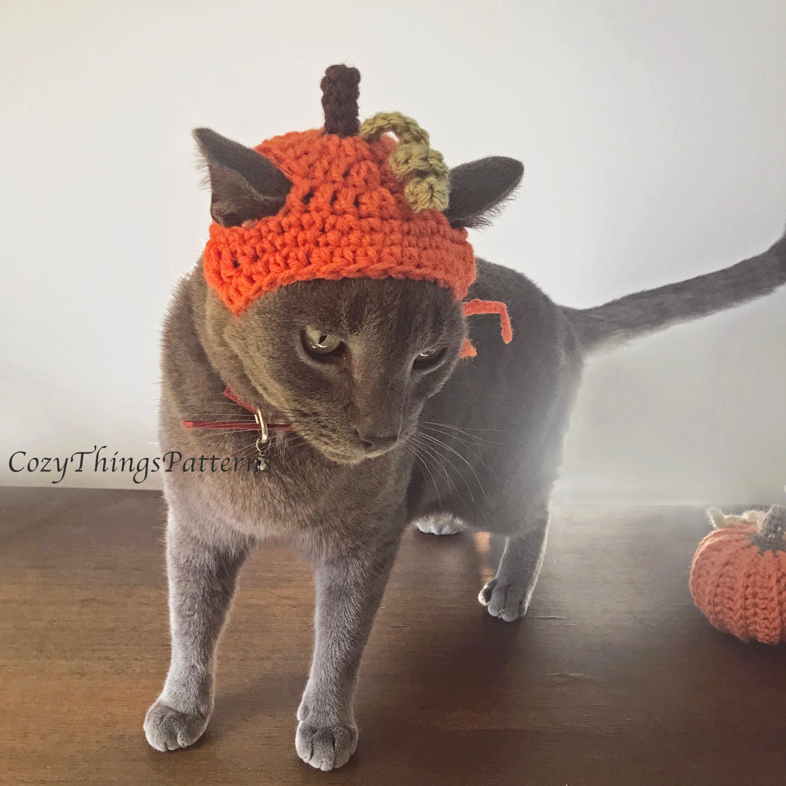 Pumpkin Cat Costume