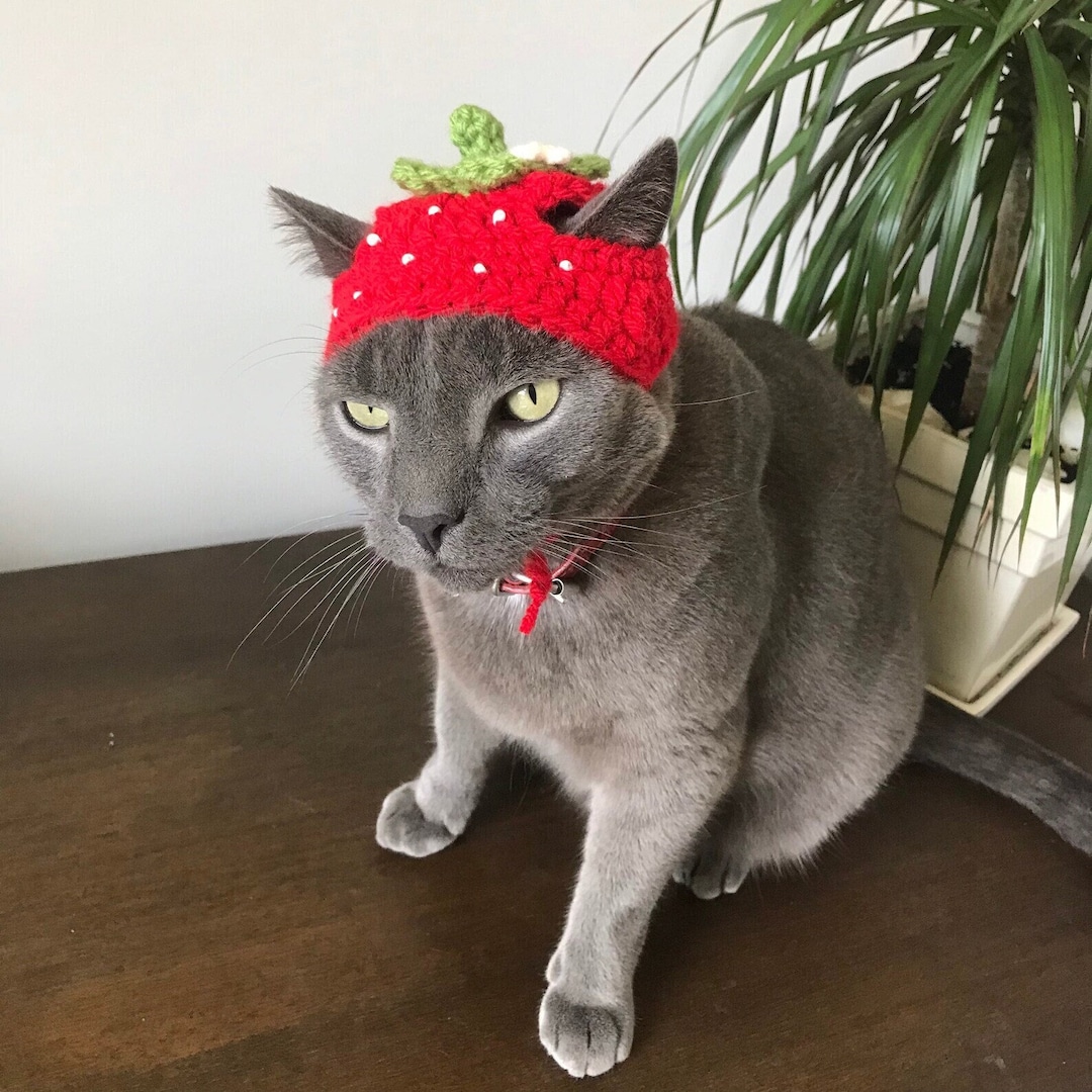 Crochet Pattern 064 - Cat Strawberry Hat, Small Dog Strawberry Hat, Pet ...