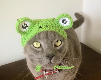 Cat Frog Hat Available for All Pets Dog / Cat / Pet Hat - Etsy