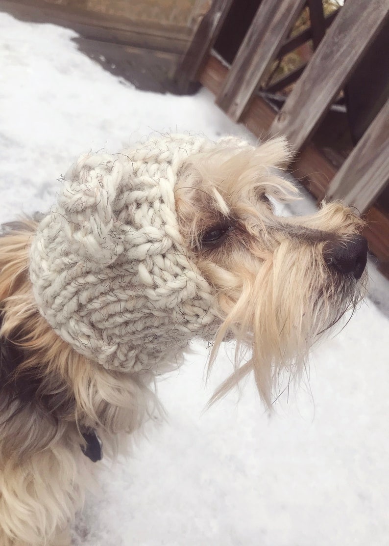 Knitting Pattern 074 Dog Bear Snood Dog Ear Warmer Dog | Etsy