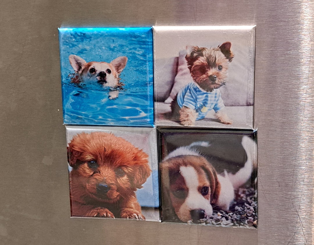 Custom Photo Magnets 2x2 Custom Fridge Magnets Personalized Gift ...