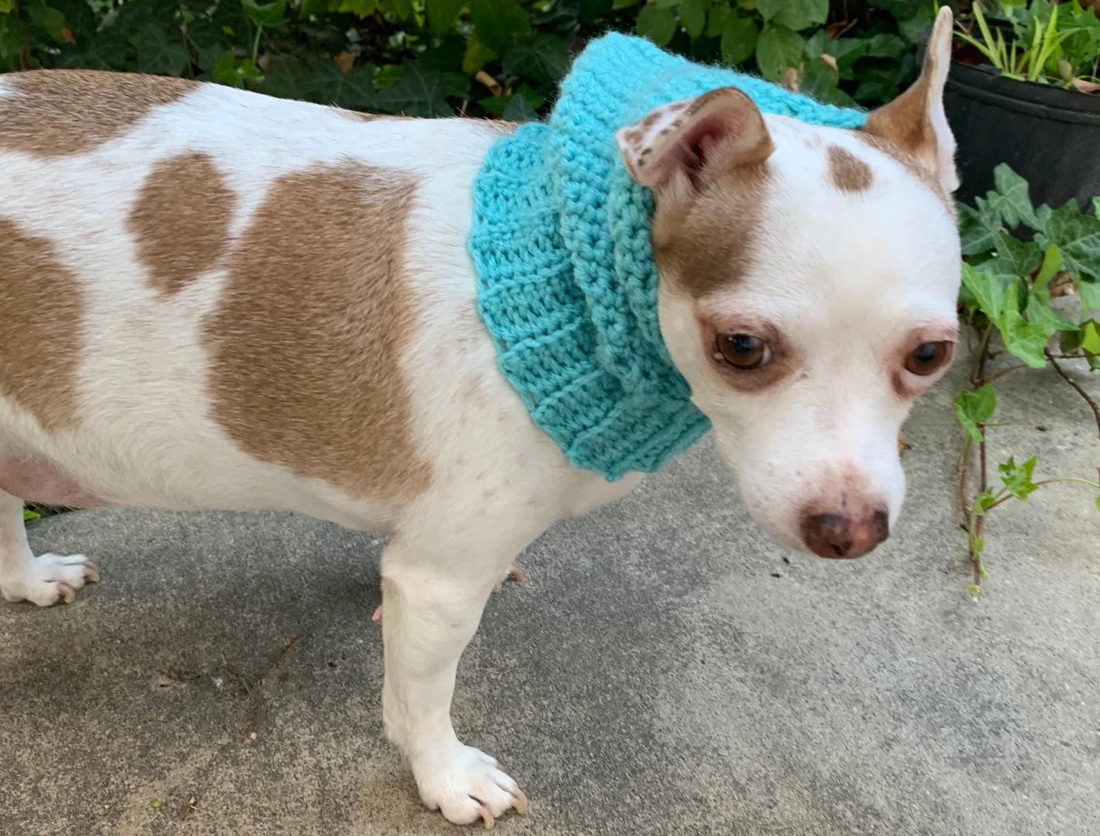 Dog Hood Xlarge CROCHET PATTERN Clothes Earwarmer Big Puppy Chihuahua ...