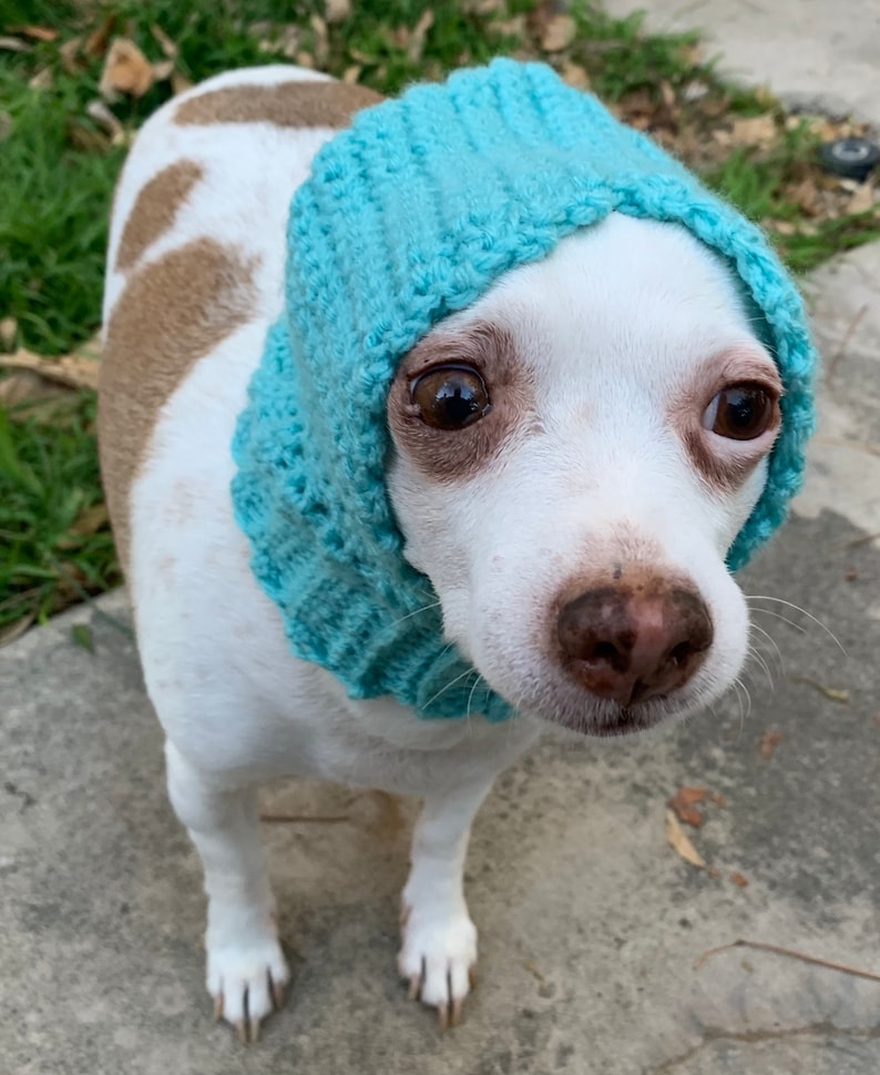 Dog Hood Xlarge CROCHET PATTERN Clothes Earwarmer Big Puppy Chihuahua ...