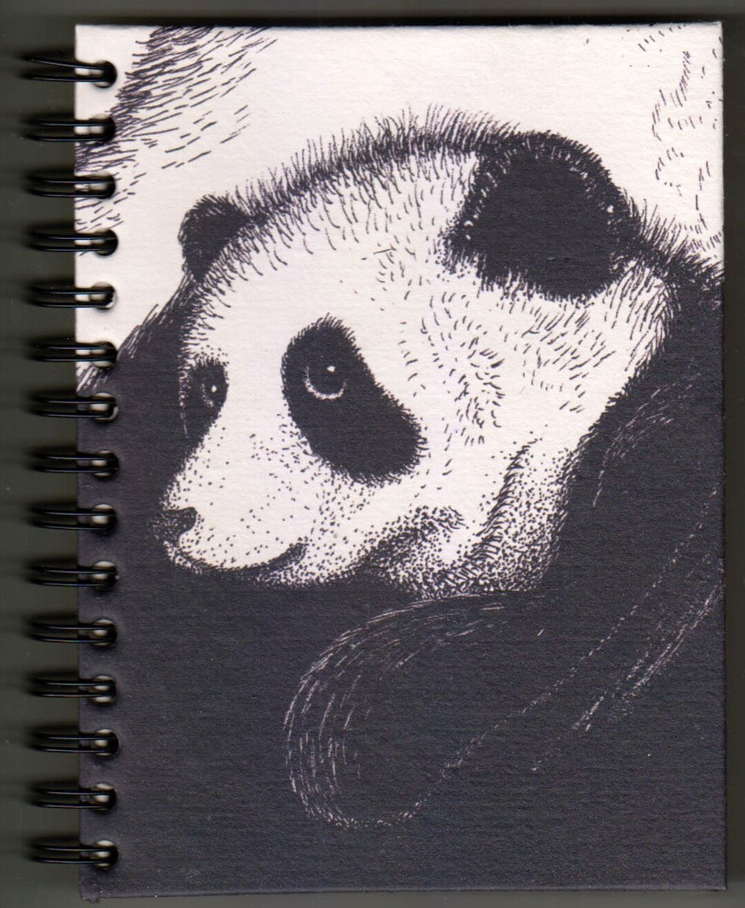 Chic and Unique: Mr. Ellie Pooh's Elephant Dung Paper Baby Panda ...