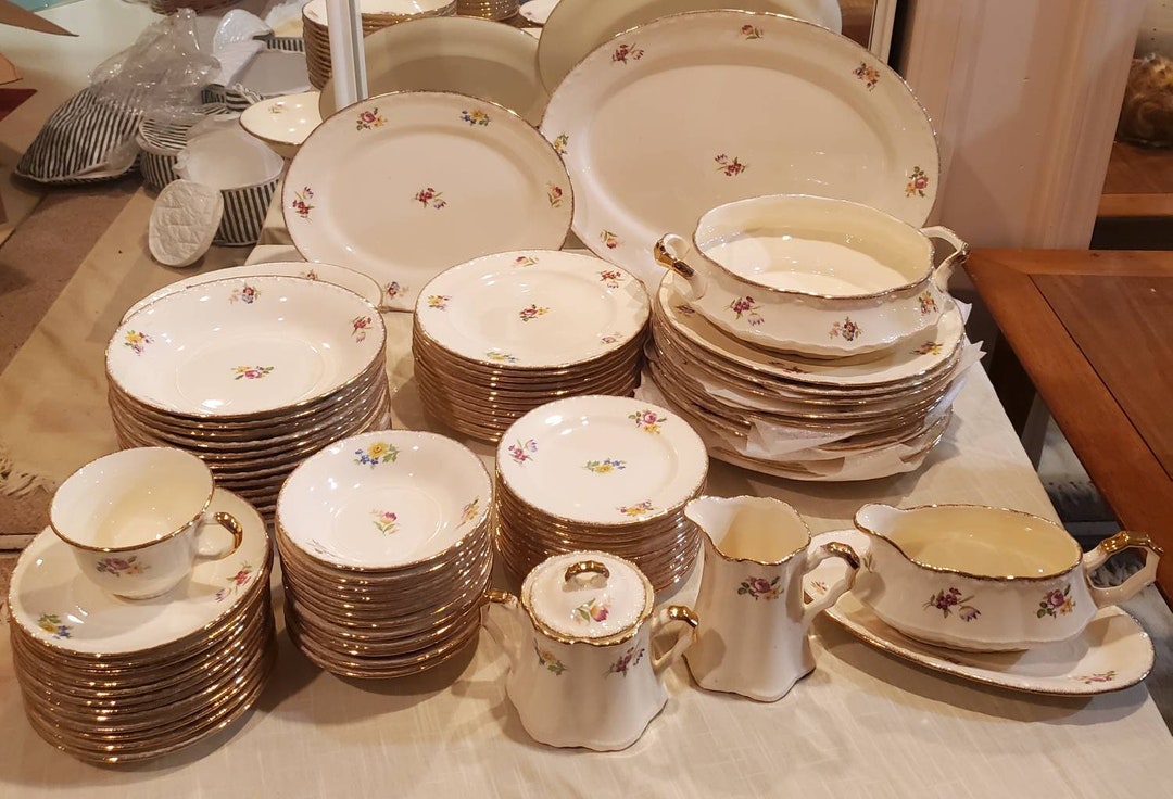 Crooksville Floral 85 Piece China Dinnerware Set With Scalloped Gold ...