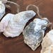 Oyster Shells, Oyster Garland, Beach Garland, Beach Decor, Oyster Shell ...
