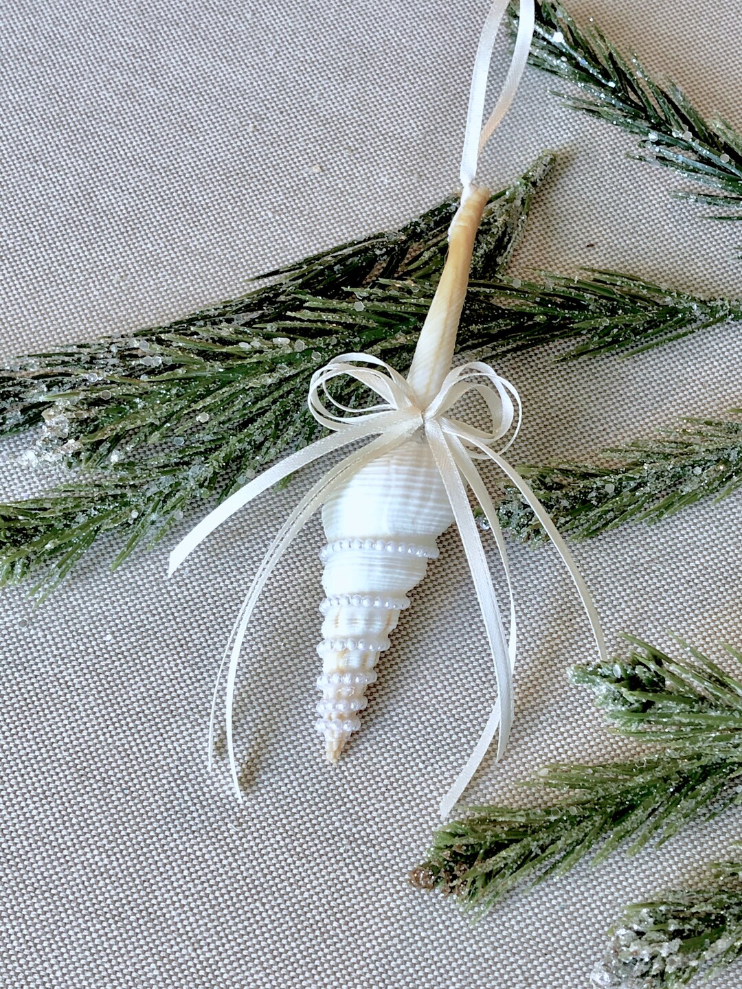 Christmas Ornaments, Beach Ornaments, Conch Shell Ornament, Shell ...