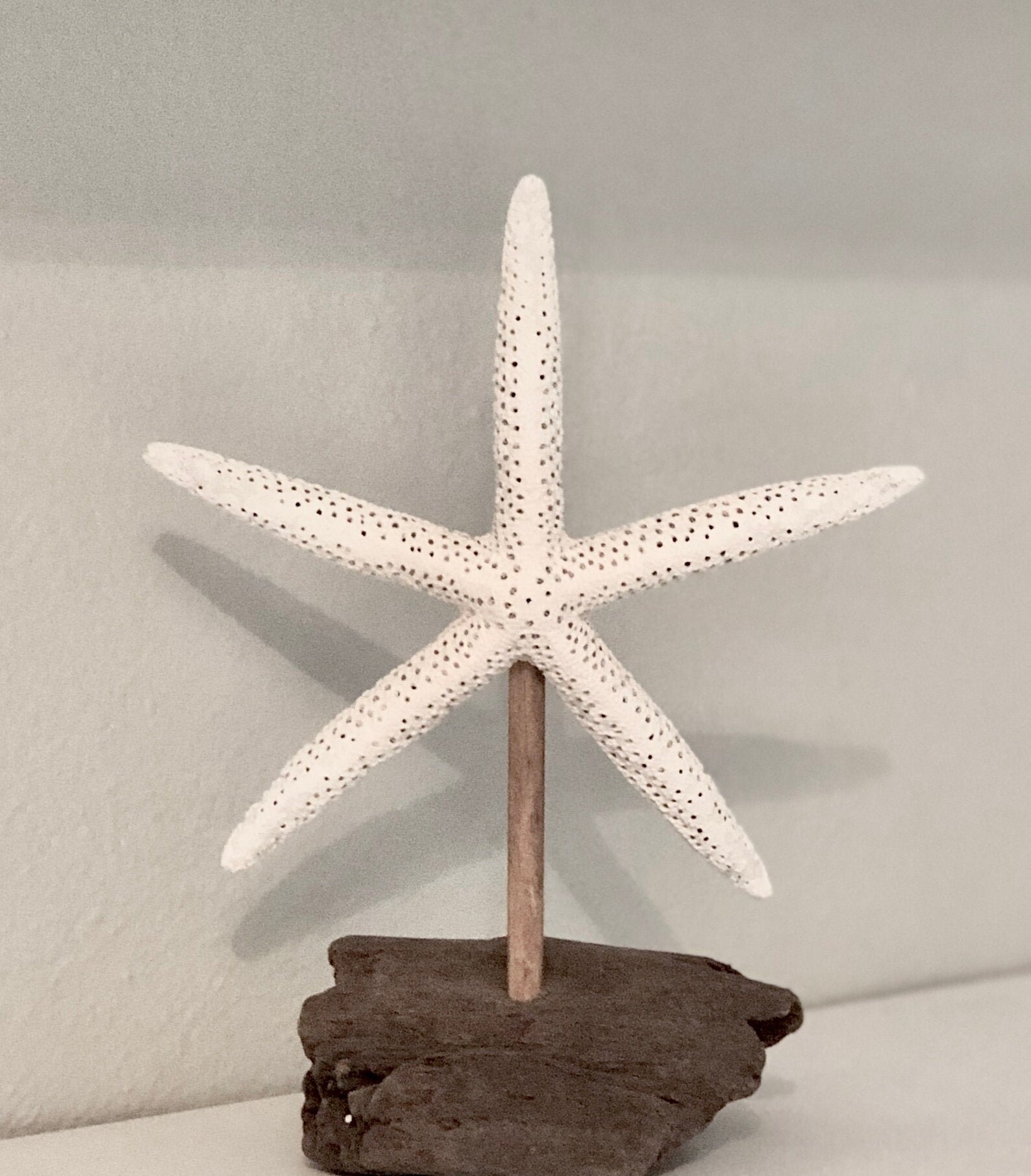 Beach Decor Beach Home Accent Starfish on Stand Starfish | Etsy