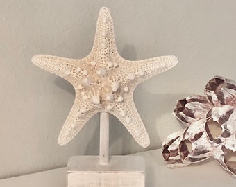 Starfish Home Decor | Etsy