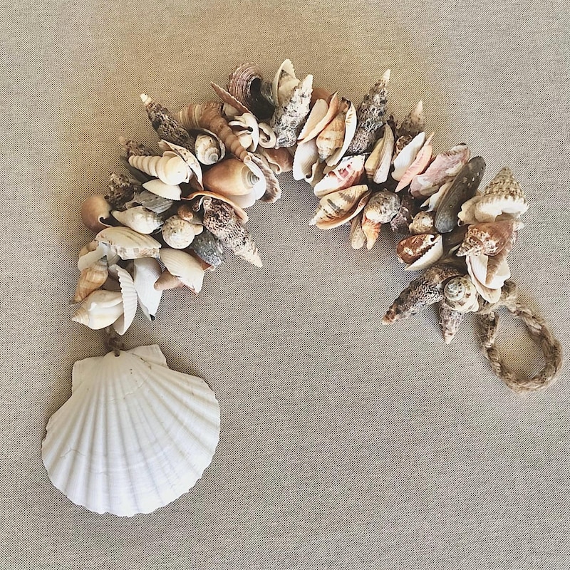 Shell Decor - Etsy