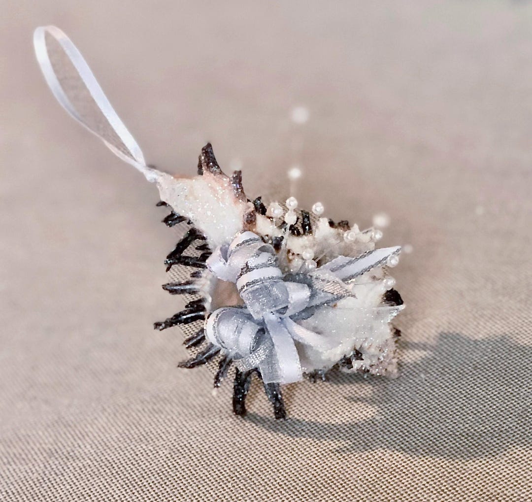 Christmas Beach Ornaments, Conch Shell Ornament, Shell Christmas Tree ...