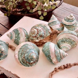 Turquoise Shell Garland, Beach Decor, Home Decor, Large Shell Garland ...