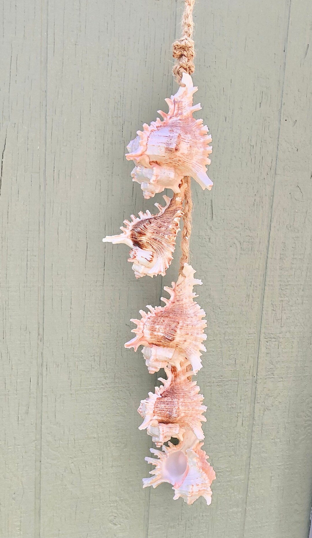 Seashell Wall Decor, Beach Home Decor, Large Shell Garland, Beach Wall ...