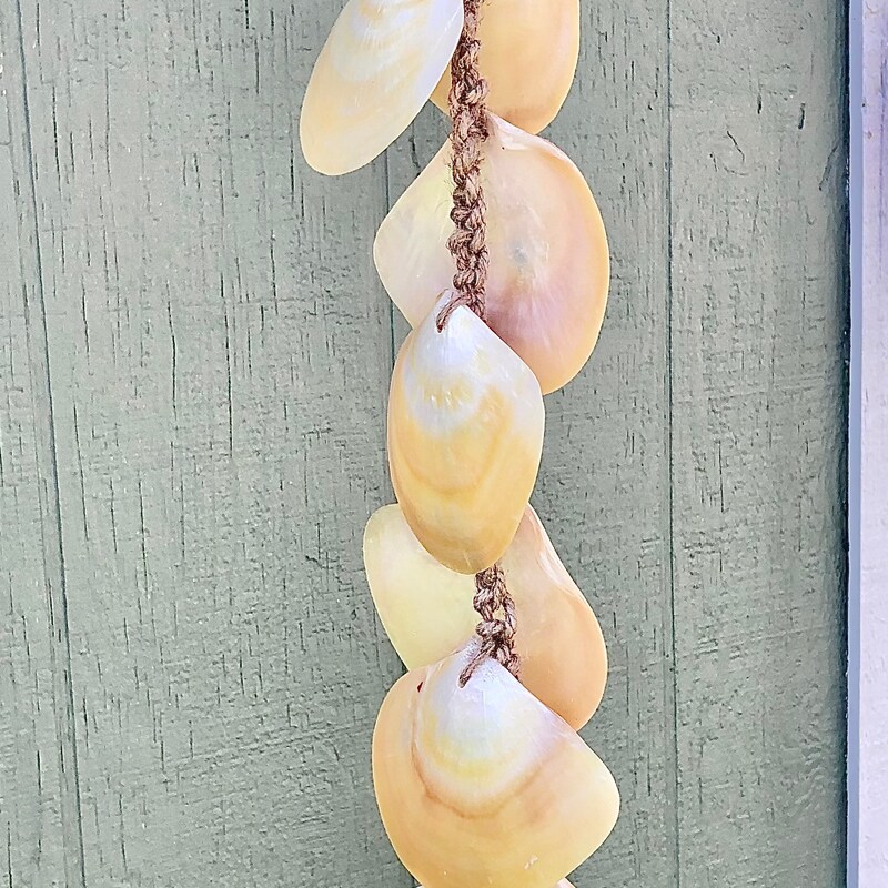 Seashell Nursery - Etsy