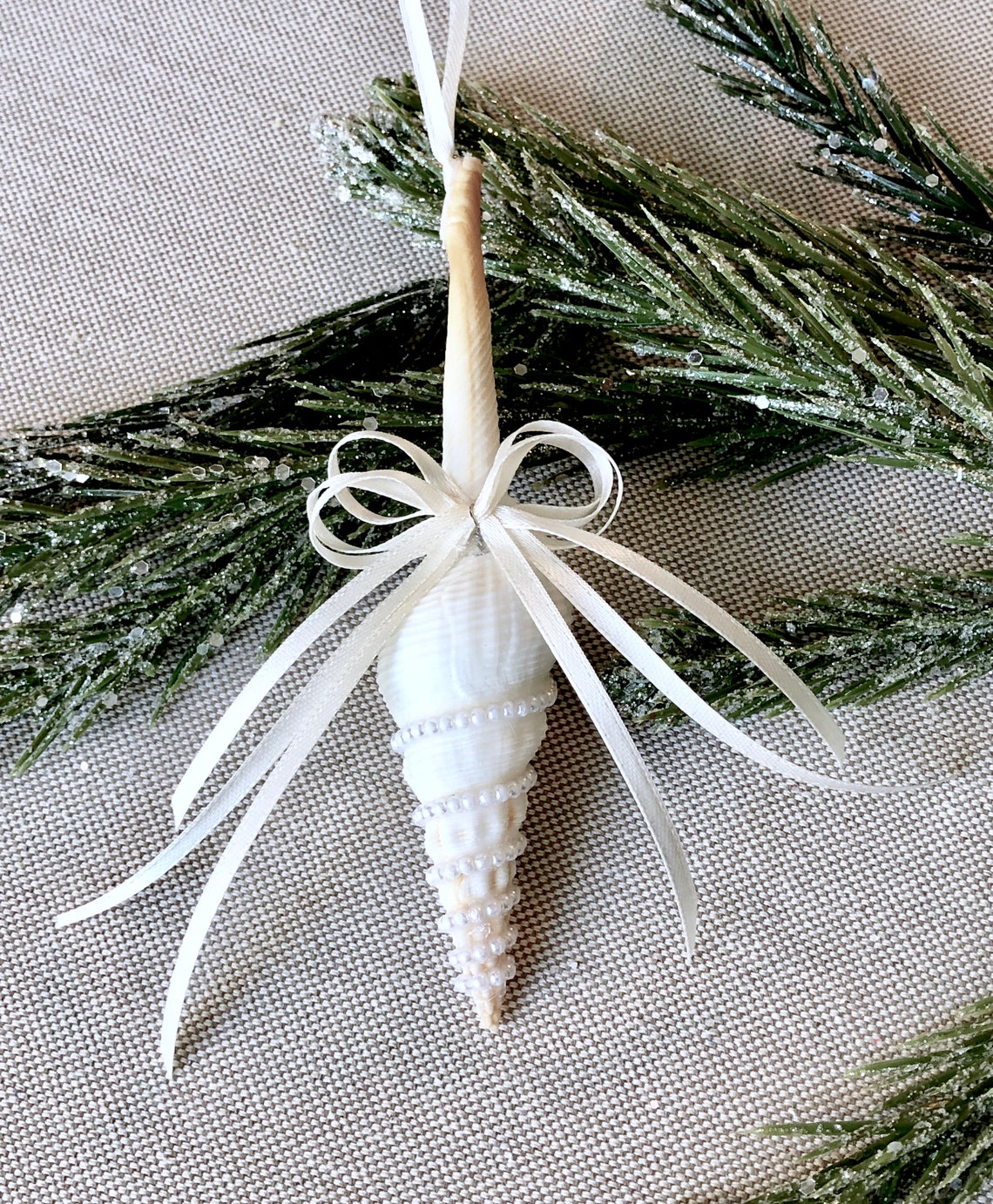 Christmas Ornaments Beach Ornaments Conch Shell Ornament - Etsy