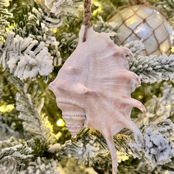 Shell Ornaments - Etsy