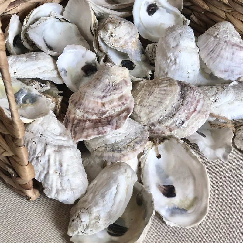 Shell Craft - Etsy