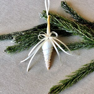 Christmas Ornaments, Beach Ornaments, Conch Shell Ornament, Shell ...