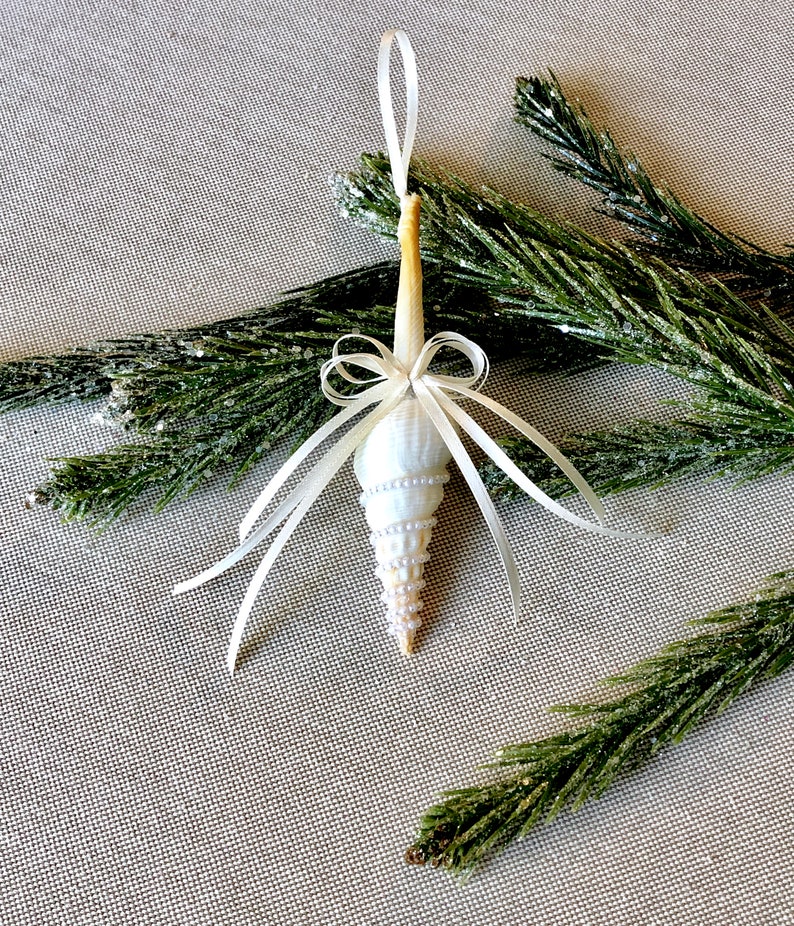 Christmas Ornaments Beach Ornaments Conch Shell Ornament - Etsy