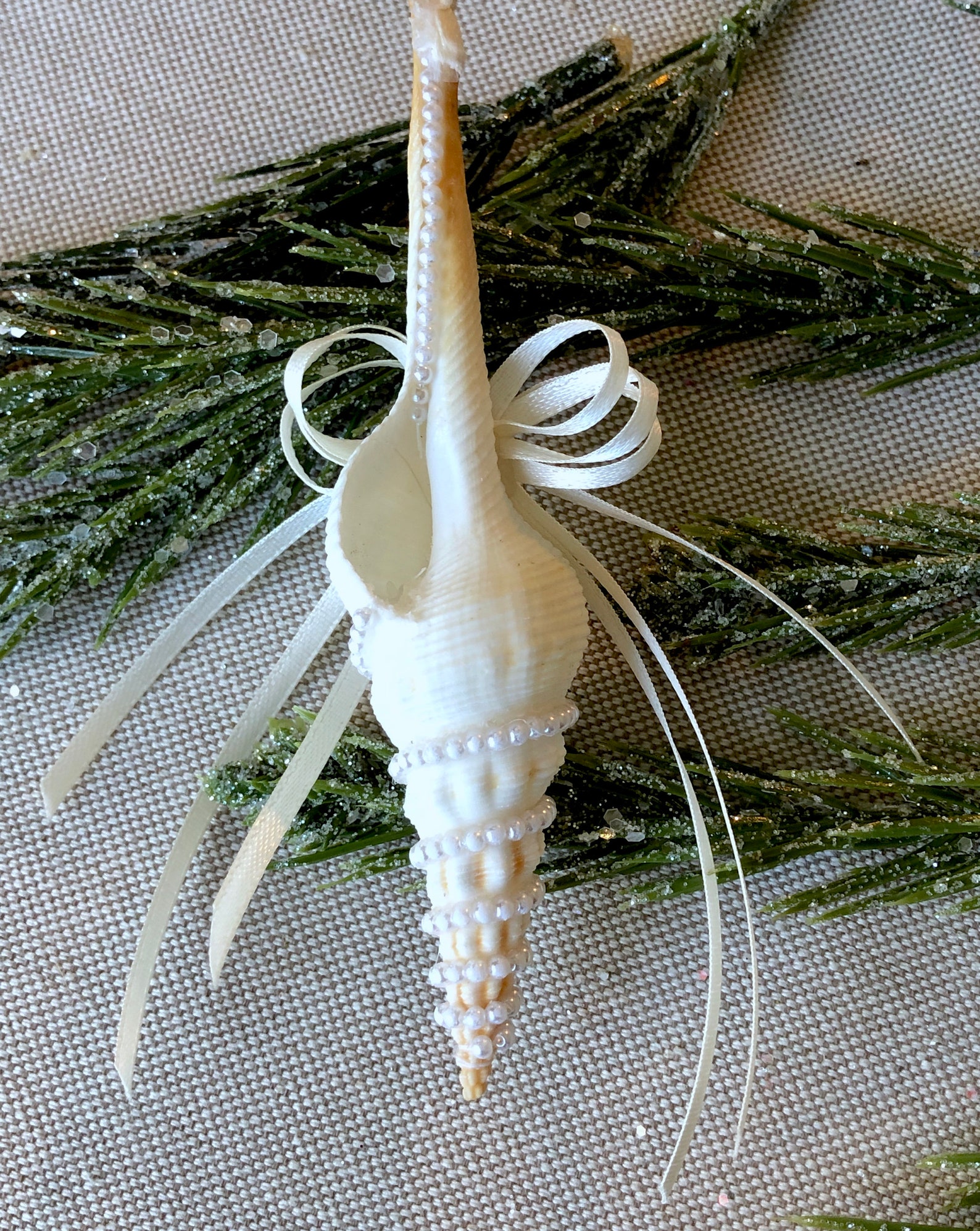 Christmas Ornaments Beach Ornaments Conch Shell Ornament - Etsy