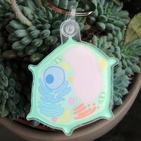 Plant Cell Key Chain - Key Ring - Cell Biology, Biology Gift, Key Chain ...
