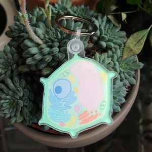 Plant Cell Keychain, Women in STEM, Science Biology Teacher Gift, Women ...