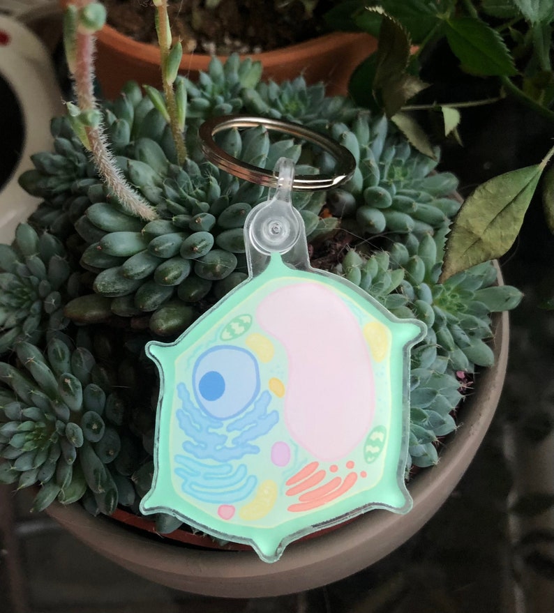 Plant Cell Keychain, Women in STEM, Science Biology Teacher Gift, Women ...