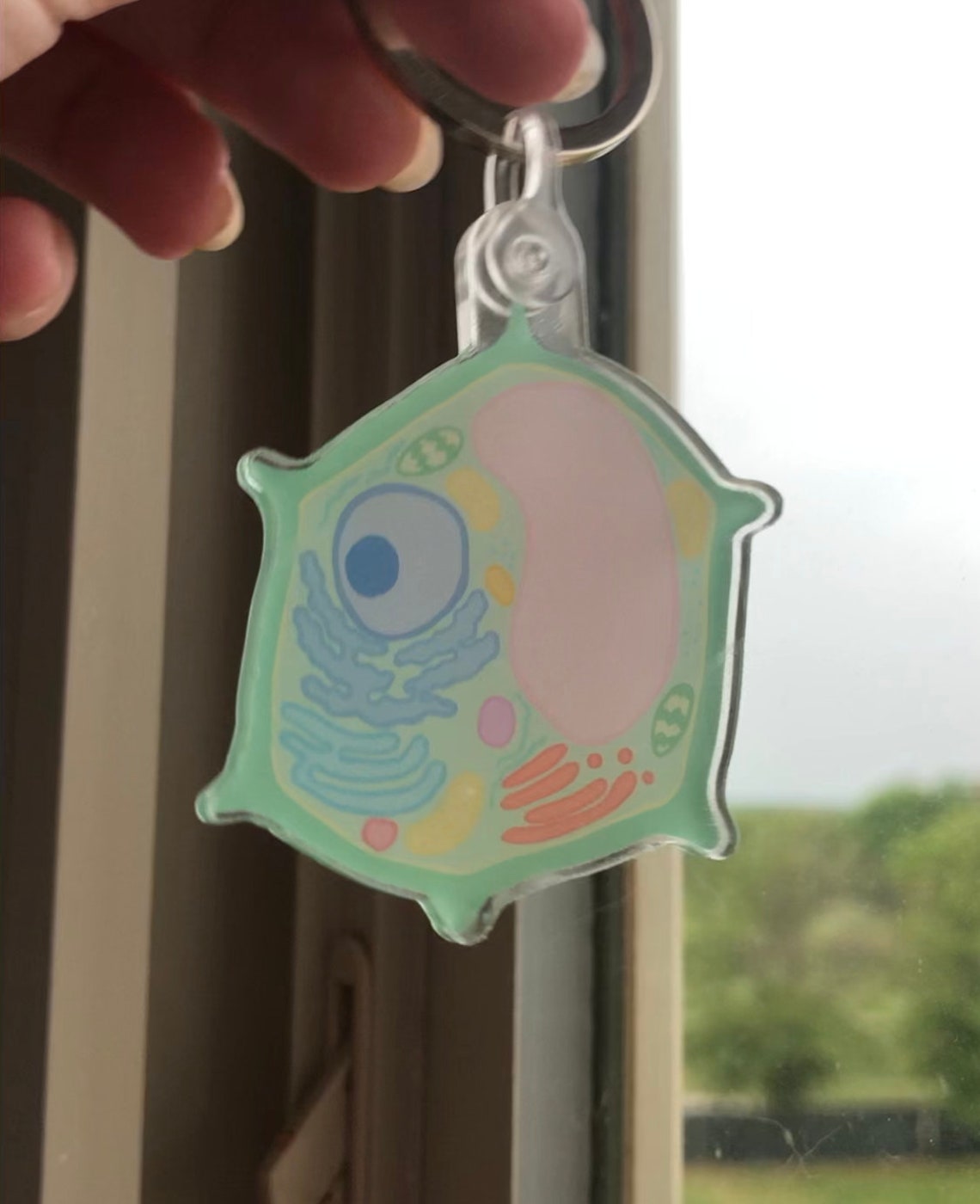 Plant Cell Keychain, Women in STEM, Science Biology Teacher Gift, Women ...