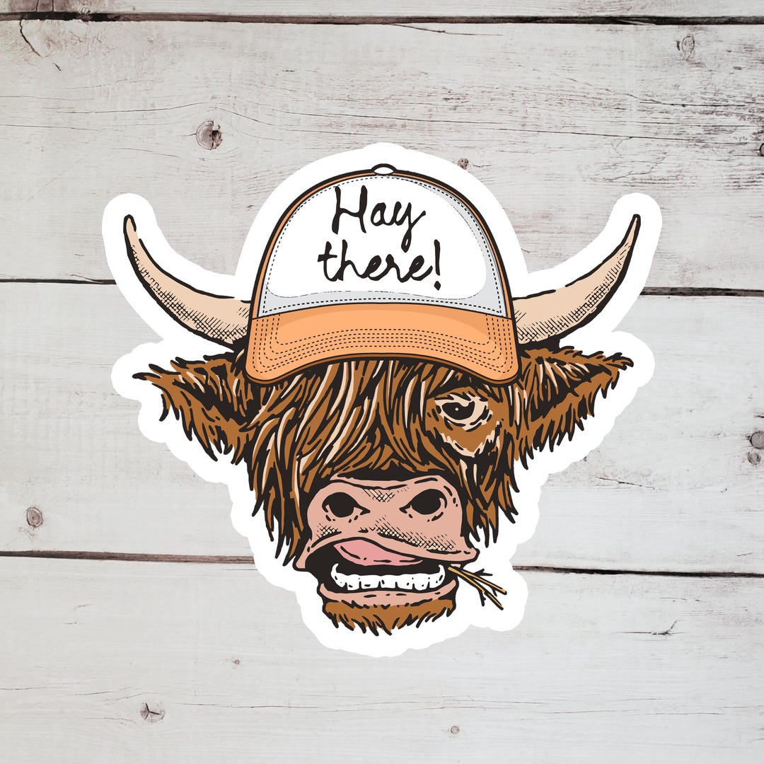 Hay There Vinyl Decal/sticker, Western Stickers, Cow Stickers, Laptop ...