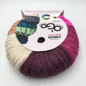 Caron Colorama O’GO Yarn, 228yds/208m,bulky 5 - Lippy - Etsy