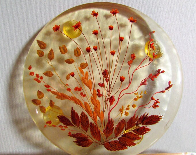 Lucite Trivet / Paperweight With Suspended Dried Wild - Etsy