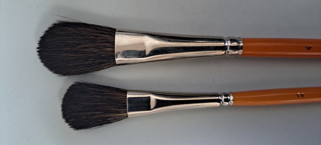 Set of 2 Artist Watercolor Mop Brushoval Shape Fine Soft Hair Mixture ...