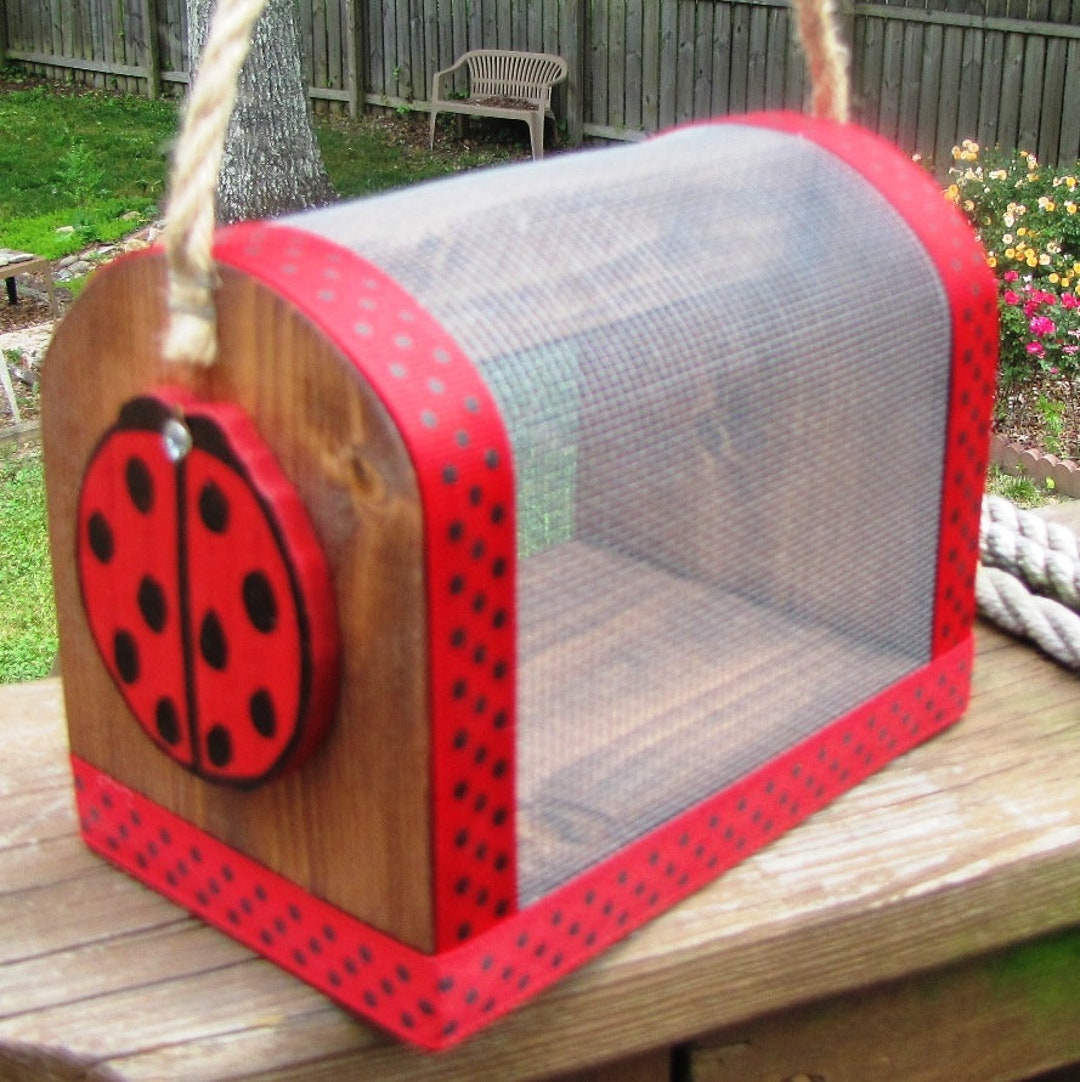 Cute Bug Box...grasshoppers, Ladybugs, Butterflies, Fireflies Etc. - Etsy