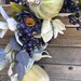 Fall Garland Fall Pumpkin Table Decor Fall Eucalyptus Mantel Swag ...