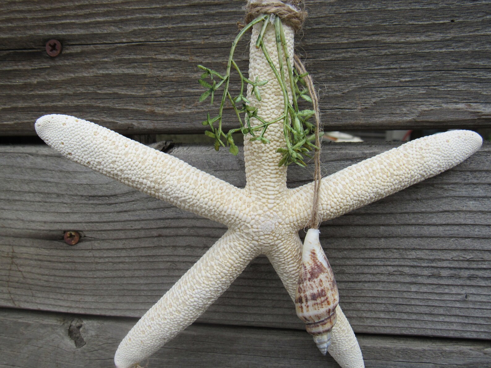 Starfish Garland Seashell Garland Beach Swag Seashell Mantel | Etsy