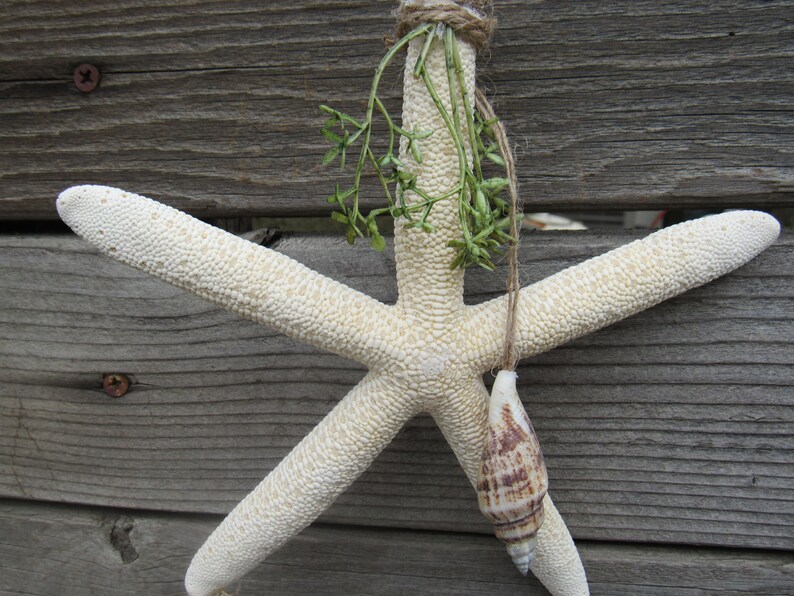 Starfish Garland Seashell Garland Beach Swag Seashell Mantel | Etsy