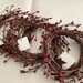 4” Pip Berry Rings, Lot of 3 Pip Berry Rings, Christmas Red Green White ...
