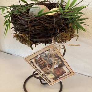 Bird Nest on Spring, Spring a Birds Nest, Birds Nest With Eggs - Etsy