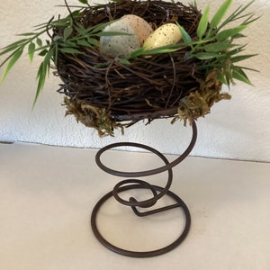 Bird Nest on Spring, Spring a Birds Nest, Birds Nest With Eggs - Etsy