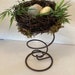 Bird Nest on Spring, Spring a Birds Nest, Birds Nest With Eggs - Etsy